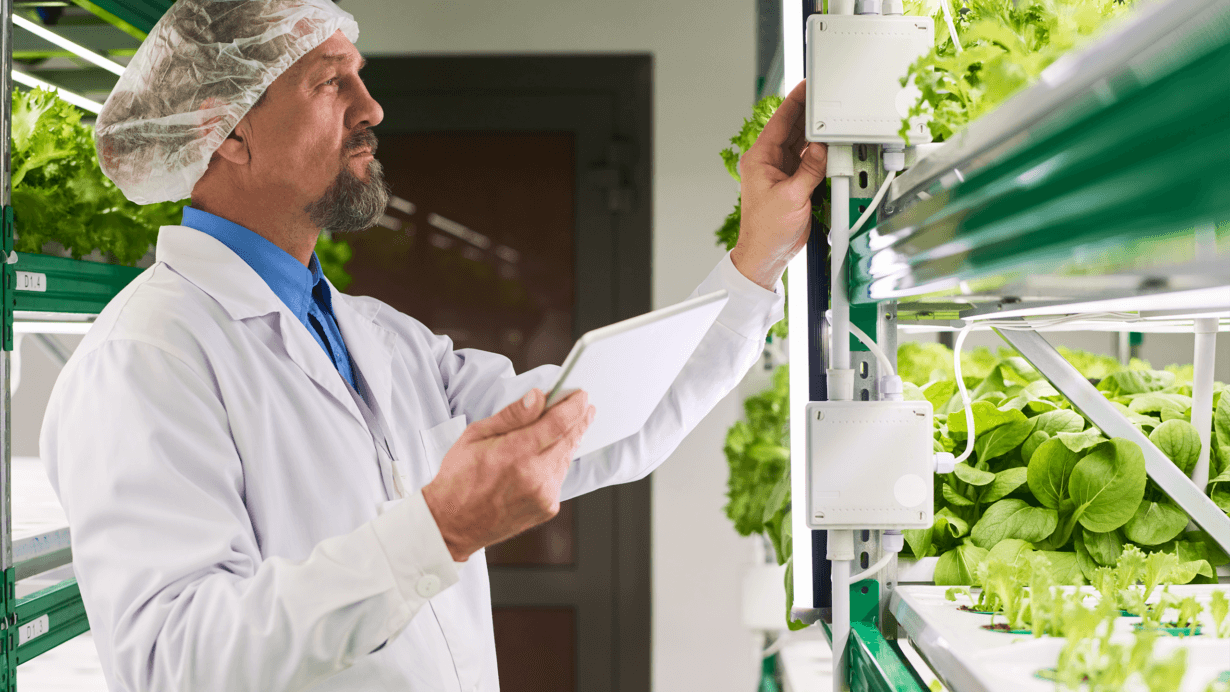 Careers – Goodness Grown